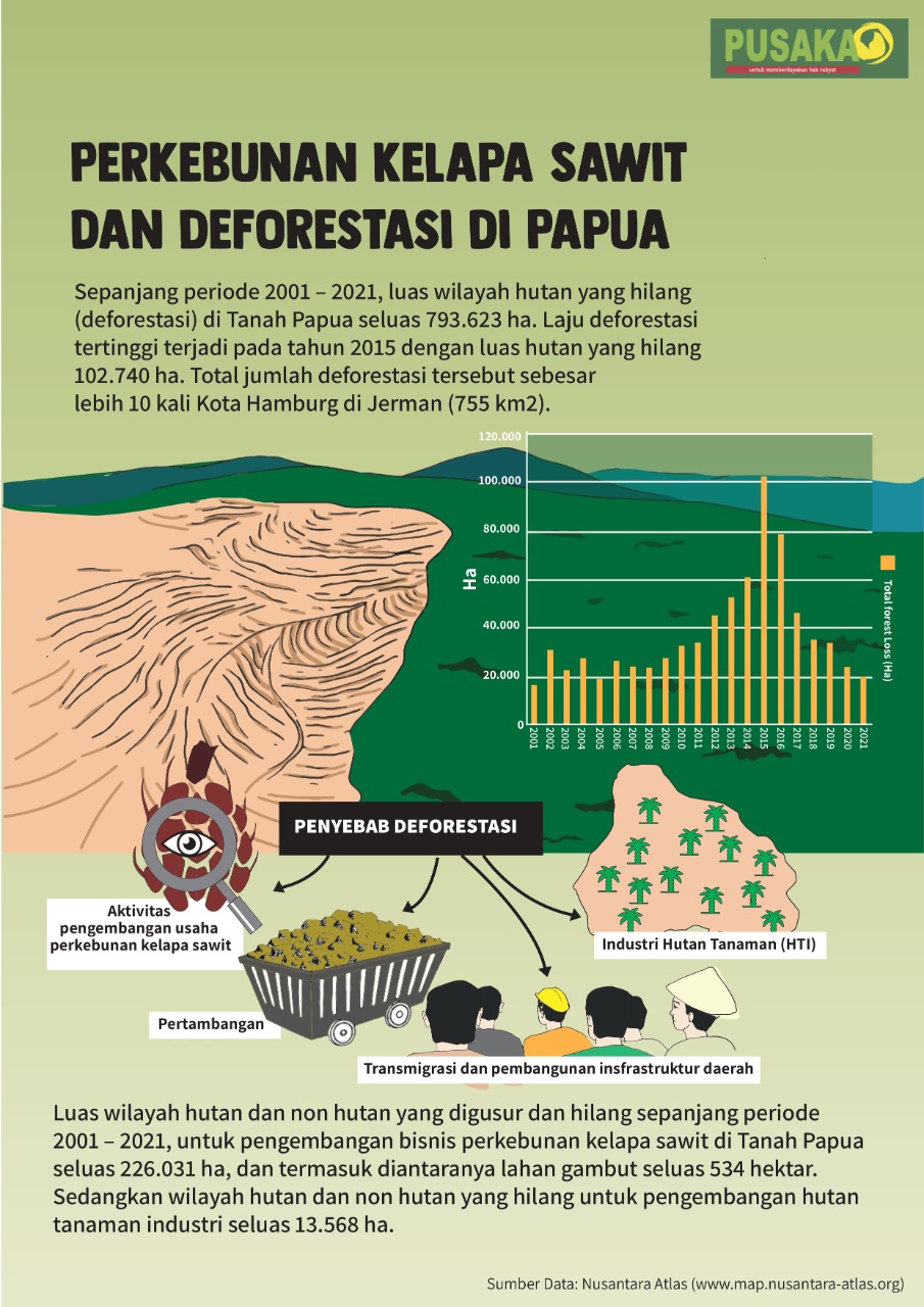Bersekutu Menjaga Hutan dari Agresi Kebun Sawit | portaljepe.id